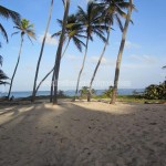 Plage de L'Anse Michel • Lieux à visiter - Tourisme • Belle Martinique