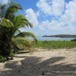 Plage de L'Anse Michel • Lieux à visiter - Tourisme • Belle Martinique