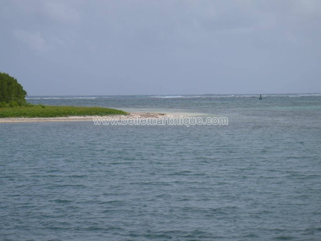 Ilet chevalier • Belle Martinique