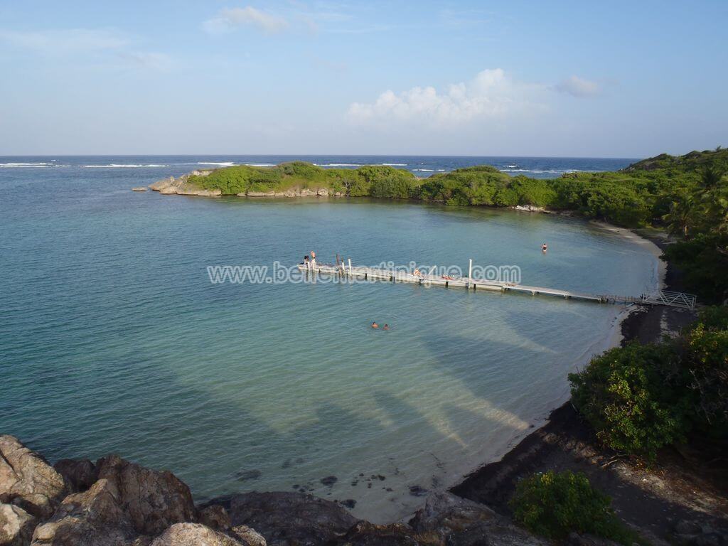 Ilet chevalier • Belle Martinique