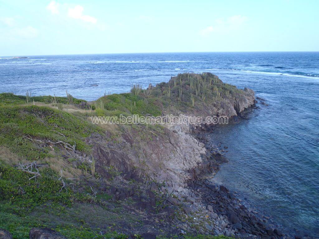 Ilet chevalier • Belle Martinique