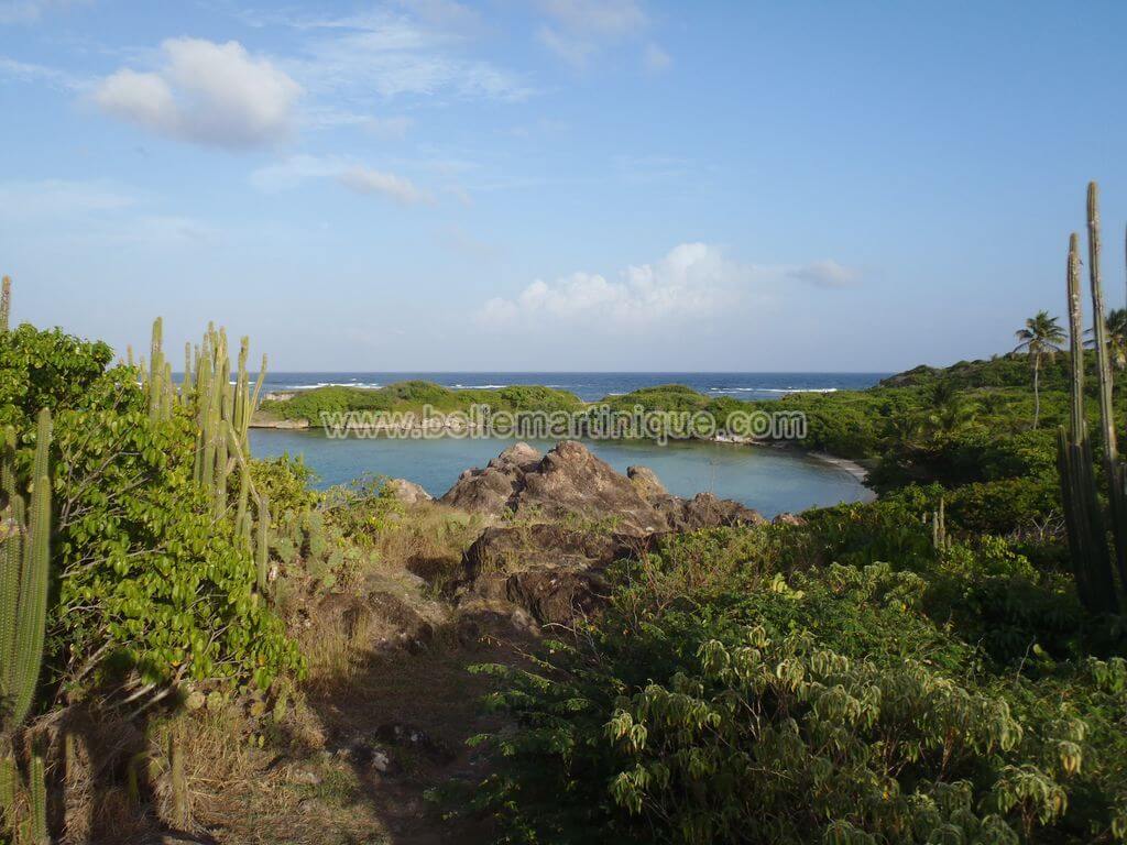 Ilet chevalier • Belle Martinique